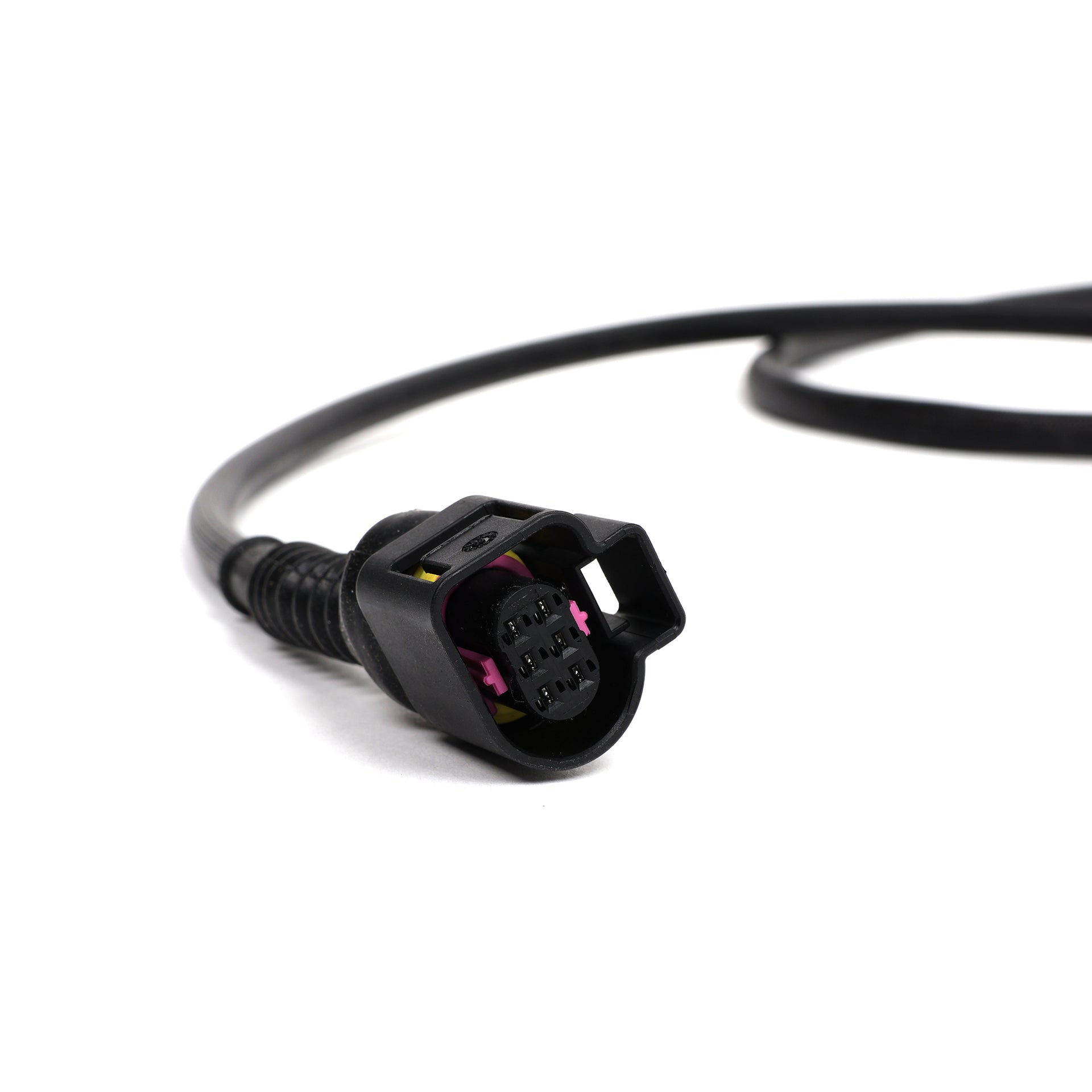 Haltech Bosch CANbus Wideband O2 Sensor Kit · Hybrid Racing