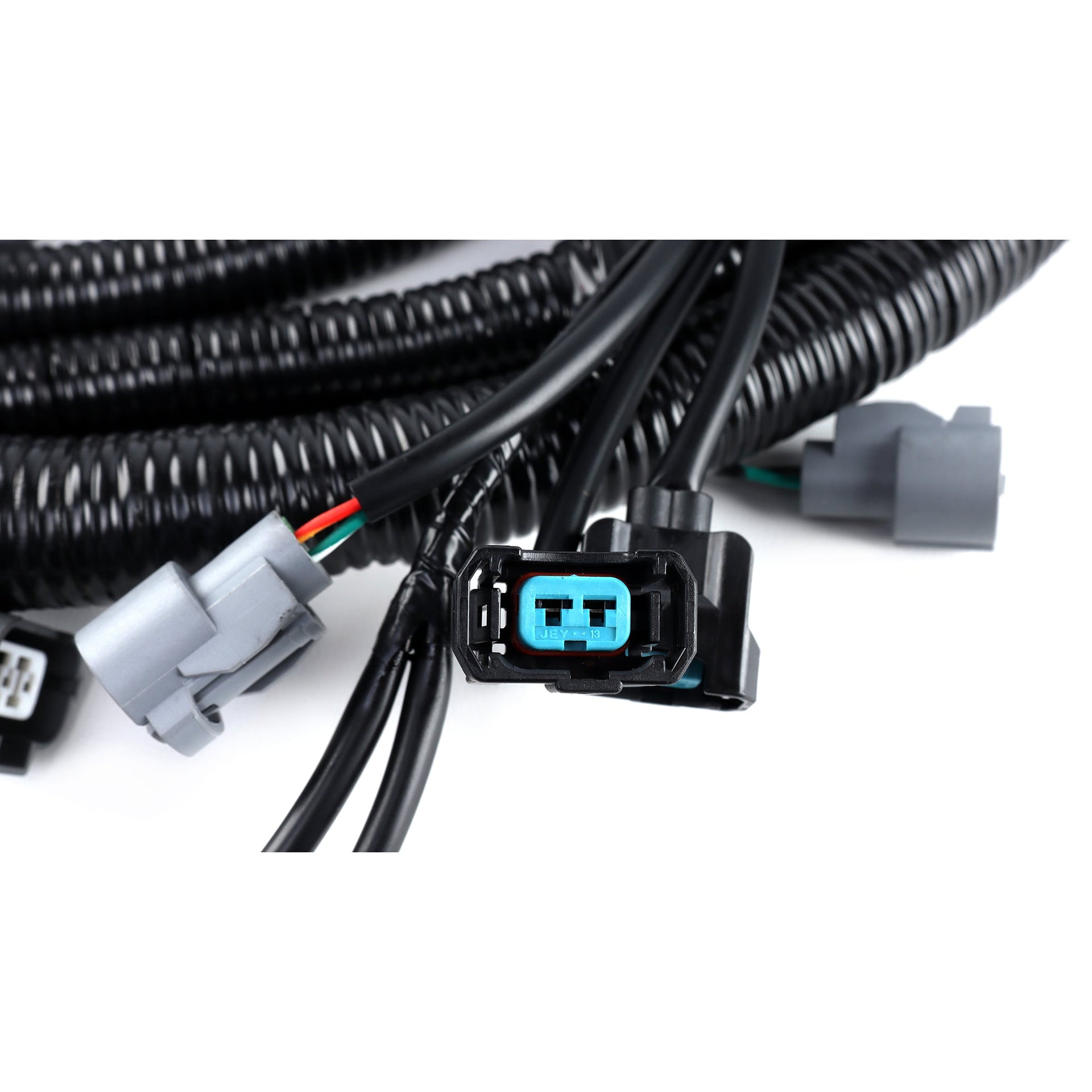 Rywire LHD EG/DC B Series OEM Replacement Engine Harness · Hybrid Racing