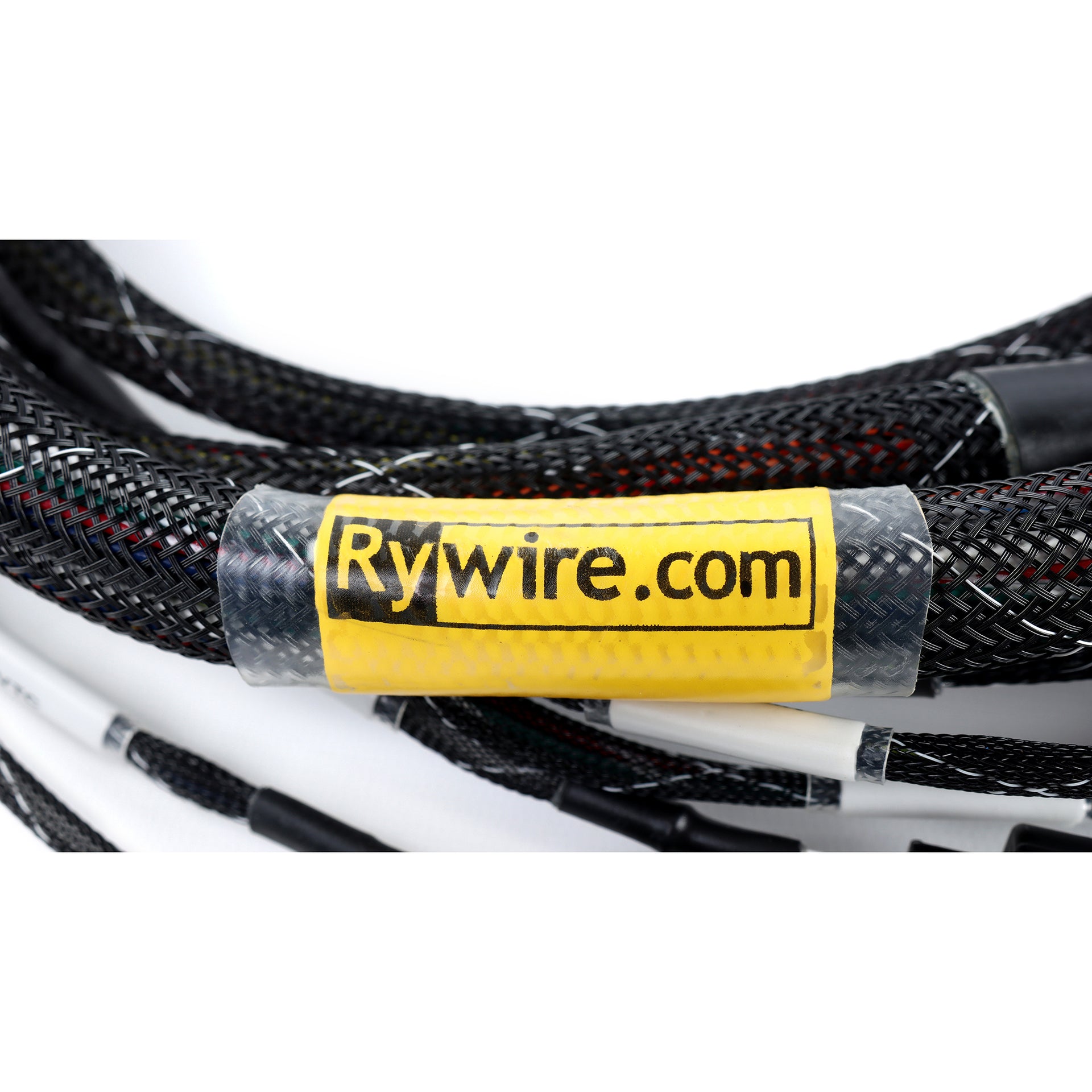 Rywire K-Series RWD Engine Harness · Hybrid Racing