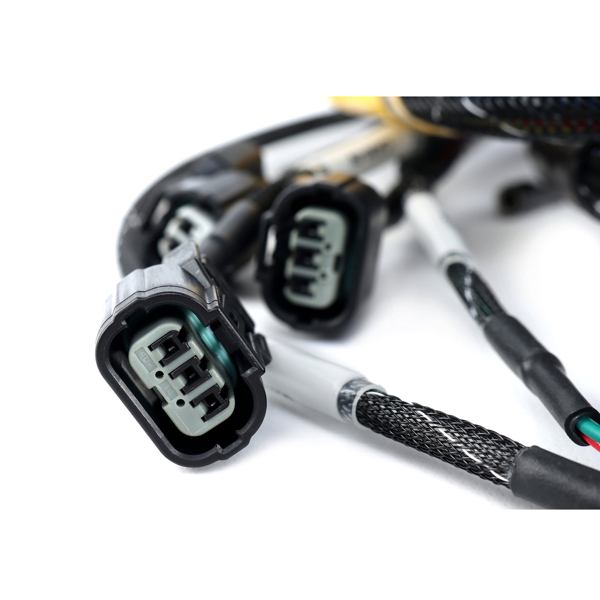 Rywire K-Series RWD Engine Harness · Hybrid Racing